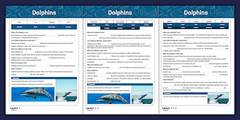 Dolphins Cloze Worksheet
