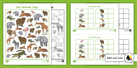 Zoo Animals Size Ordering - EYFS, Early Years, KS1, Key Stage 1, Zoo ...
