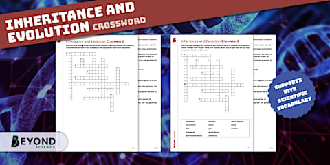 Plant Reproduction Crossword