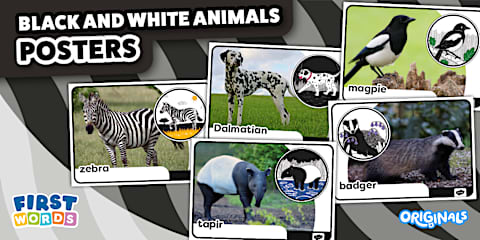 Originals First Words Matching Cards: Pond Life