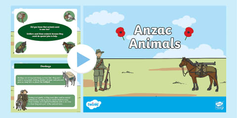 Learn How to Draw Anzac Ted Activity