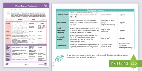 Editable RAPT (Renfrew Action Picture Test) Assessment Report Template