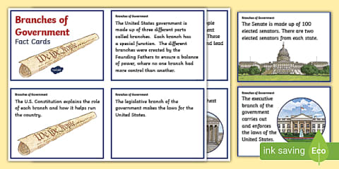 Branches of Government Graphic Organizer
