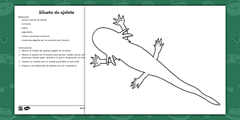 Hoja de actividad: El ciclo de vida del ajolote