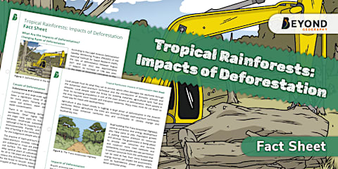GCSE AQA Tropical Rainforest Characteristics Reading Comprehension