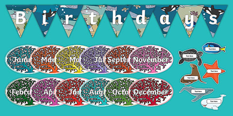 Great Barrier Reef Themed Birthday Display Pack