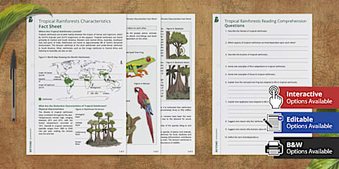 AQA GCSE Tropical Rainforests Characteristics Fact Sheet