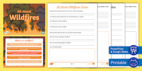 Wildfires: Discussion and Decision Making Worksheet for 3rd-5th Grade