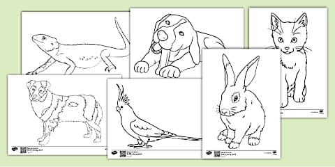 Matariki Kite Colouring Sheets