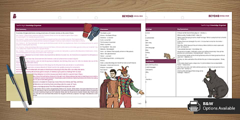 Twelfth Night Plot Activity Pack