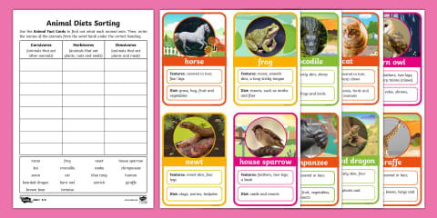 Carnivores, Herbivores and Omnivores Sorting Activity