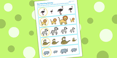 Safari Alphabet Ordering Worksheets