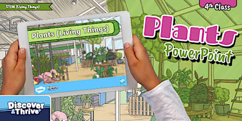 STEM (Living Things) Plants Activity Pack (4th Class)