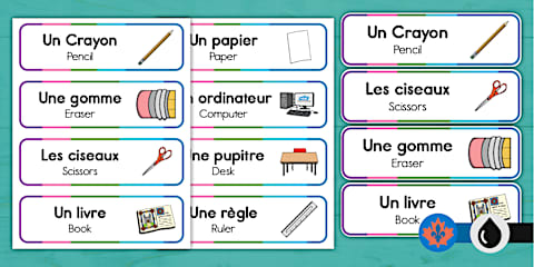 Photo Living and Non-Living Sorting Activity French