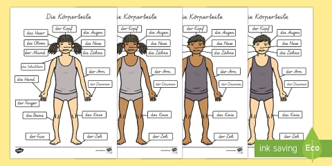 Körperteile Arbeitsblatt