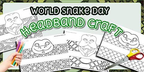 Egg-Laying and Live-Bearing Snakes - Life Cycle Activity Sheets