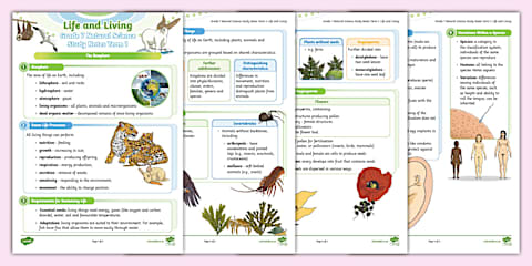 Grade 7 NS - Term 1 - Vertebrates vs. Invertebrates - Sorting Activity ...