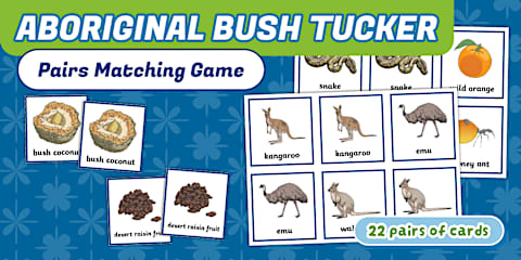 Bush Foods Display Posters