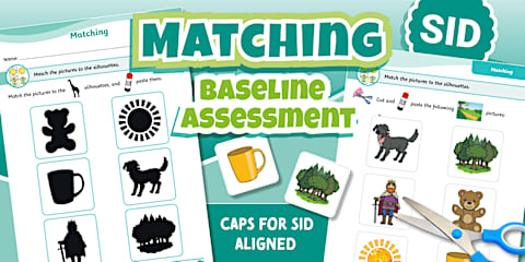 Gr 1 - 5 - Language & Literacy Skills - Baseline Assessment Booklet ...