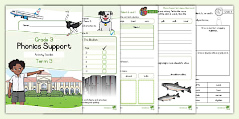 Grade 3 - Term 3 - Language - Pollution - Poster Discussion (CAPS for ...
