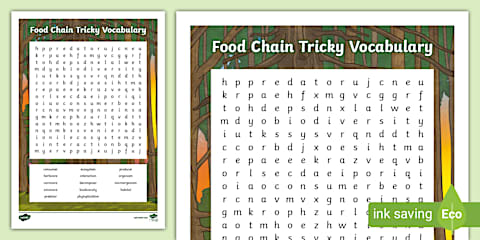 Food Chains Word Search