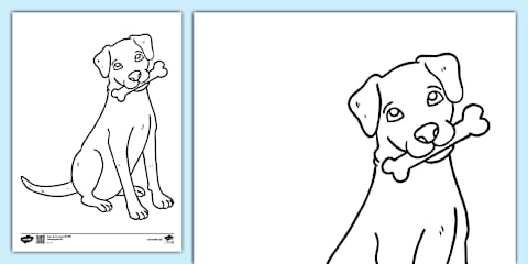 Dog Bone Counting Game - EYLF Maths