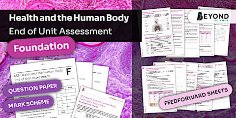 KS3 Health and the Human Body Lesson 11: The Heart (Optional Lesson)