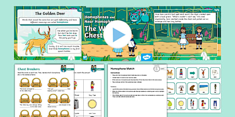 Homophones and Near Homophones Lesson Pack - Level 6 Week 29 Lesson 1
