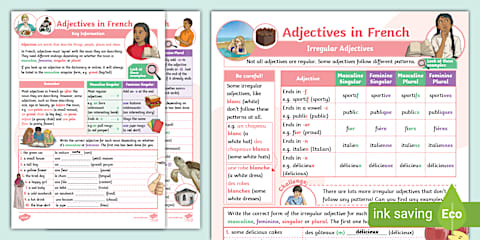 Adjectives Worksheet French
