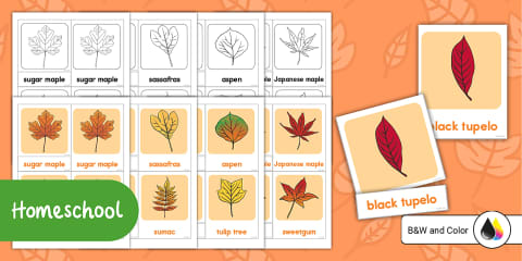Autumn Leaves Matching Worksheet