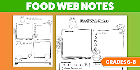 Food Webs: Learning from Your Classmates Worksheet for 3rd-5th Grade