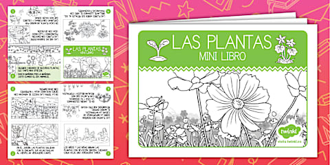 Ficha de actividad: Las plantas que comemos