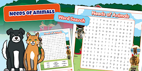 Rainbow Word Search