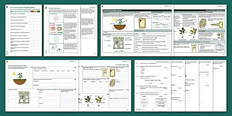 Limiting Factors of Photosynthesis Worksheet