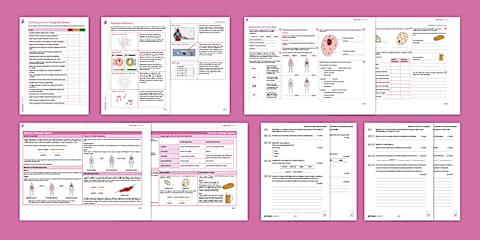 Anaerobic Respiration in Humans Gap Fill Worksheet