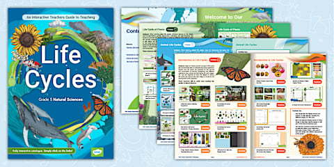 Life Cycle of Plants Lesson Plan Grade 5