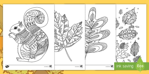 Seasons of Trees Mindfulness Coloring Pages