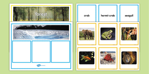 Woodland and Ocean Habitats Animal Sorting Worksheet
