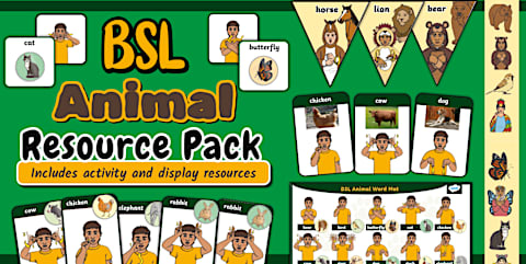 British Sign Language (BSL) Animals Word Mat