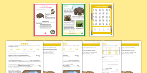 Australian Animals Echidna Resource Pack