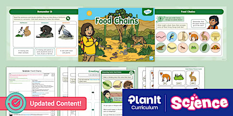 Make a Simple Food Chain Mobile Craft (Ages 6 - 7)
