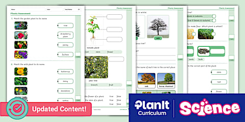 Science: Animals Including Humans: Year 1 Assessment Test