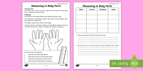 KS2 Maths Human Body Parts Measurement Investigation Booklet