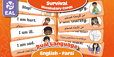 ESL WH- Question Cards [Kids, A1]