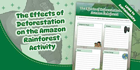 UKS2 Sir David Attenborough Reading Comprehension