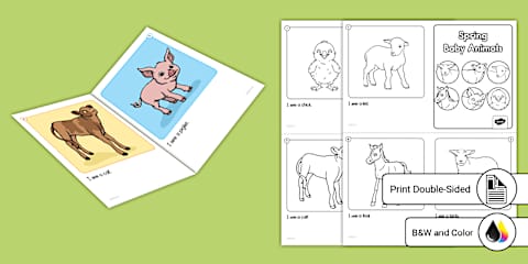 Spring Animals and Their Babies Sorting Worksheet