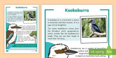 Australian Animals Information Report Writing Frames Pack