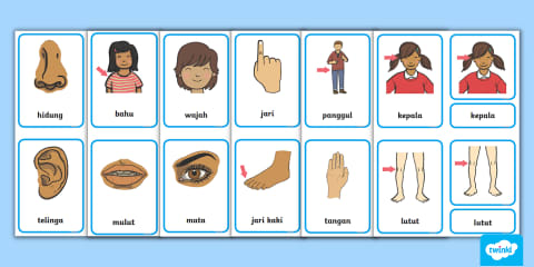 Spring Vegetables Vocabulary Three-Part Matching Cards