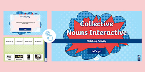 Animal Collective Nouns Interactive Matching Activity