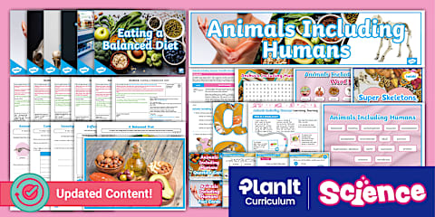 Science: Plants: Year 3 Unit Pack